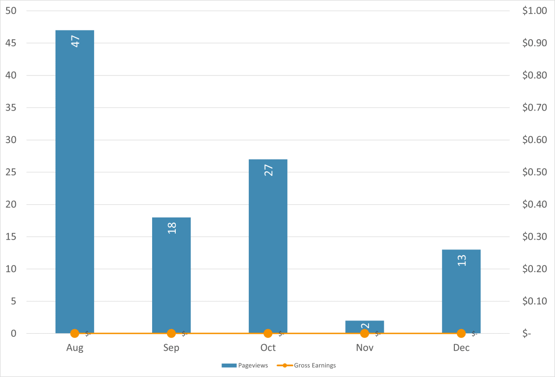 December 2020 Income Report & Blog Update - Bloggers on the Rise