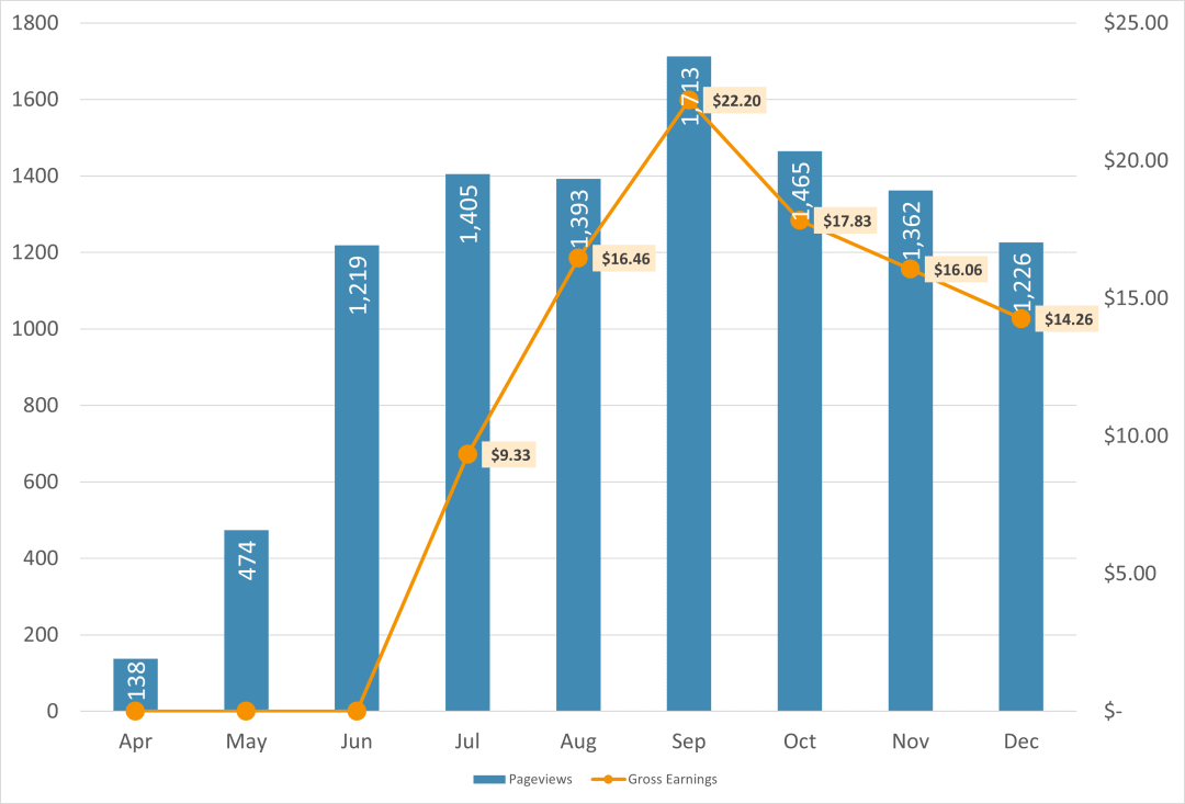 December 2020 Income Report & Blog Update - Bloggers on the Rise